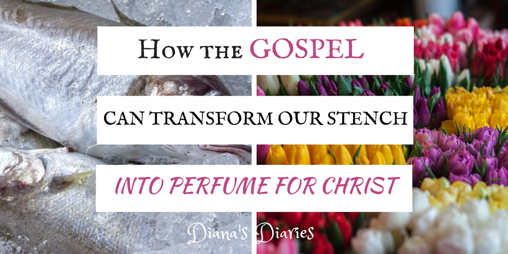 How the Gospel can transform every stench of sin into fragrance for Christ