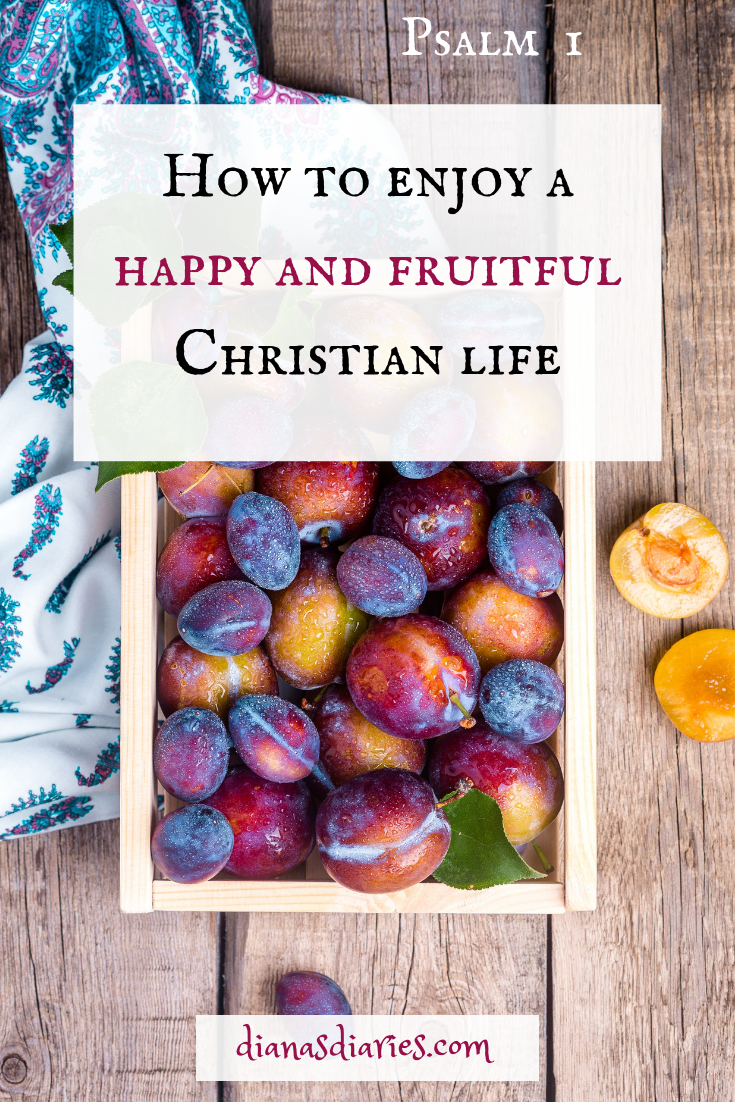 How to enjoy a Happy and Fruitful Christian Life - Diana's Diaries